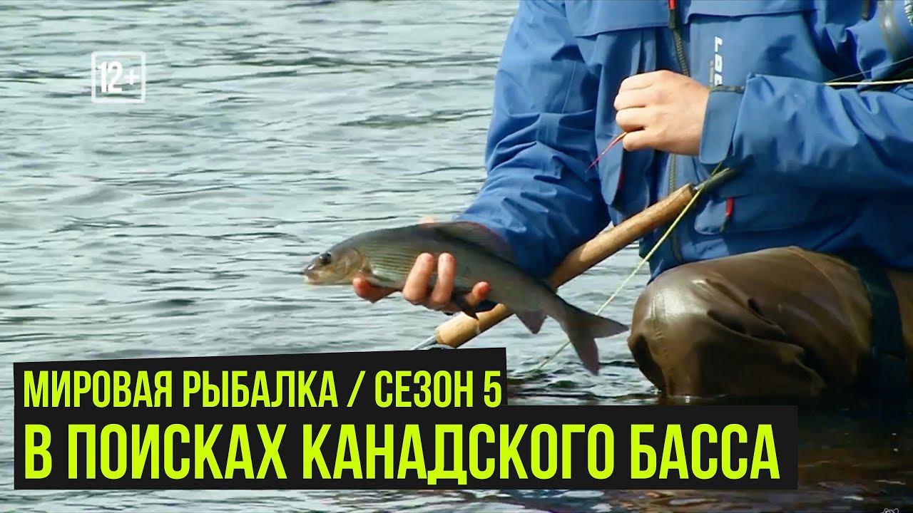 В поисках Канадского басса / Мировая рыбалка #5 / #20
