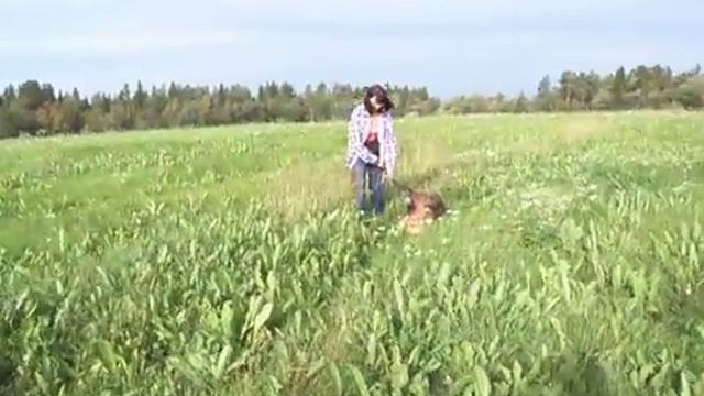 Briard Monika - tracking 3.08.2010