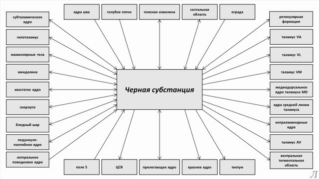 11.4 Подробное разъяснение. Черная субстанция