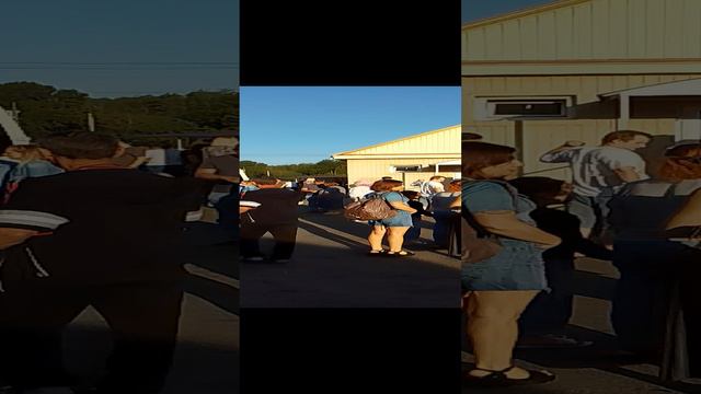 Краснодар-Криница