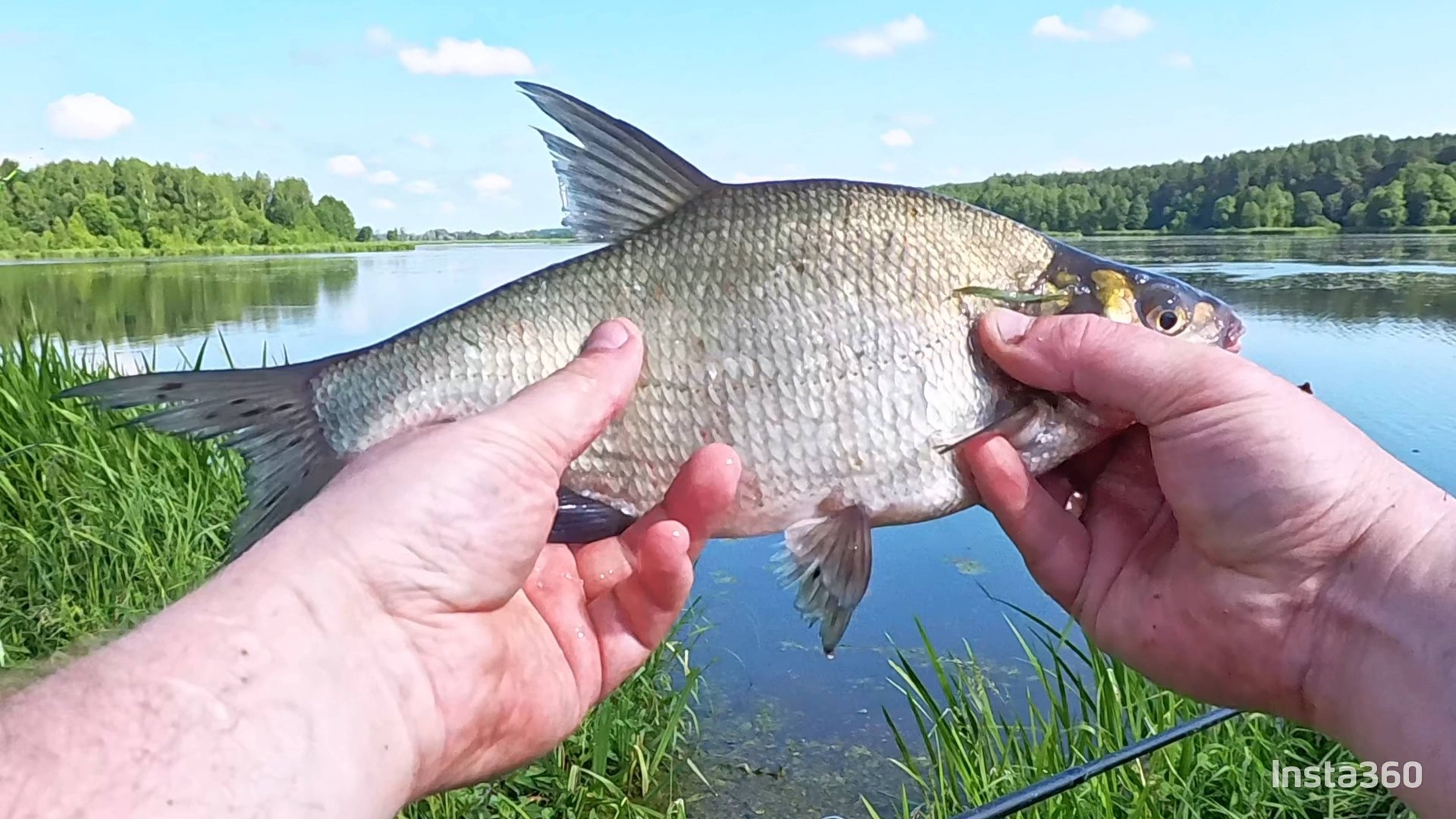 ДОНКИ ПРОТИВ ФИДЕРА! КТО КОГО? ГОТОВИМ НА ПРИРОДЕ. ПОХОДНАЯ КУХНЯ И ОТДЫХ НА РЫБАЛКЕ.