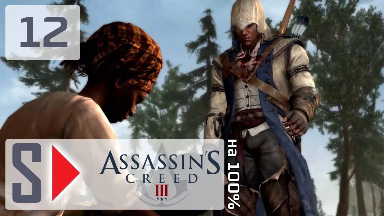 Assassin's Creed III на 100% - #12 Поместье 2