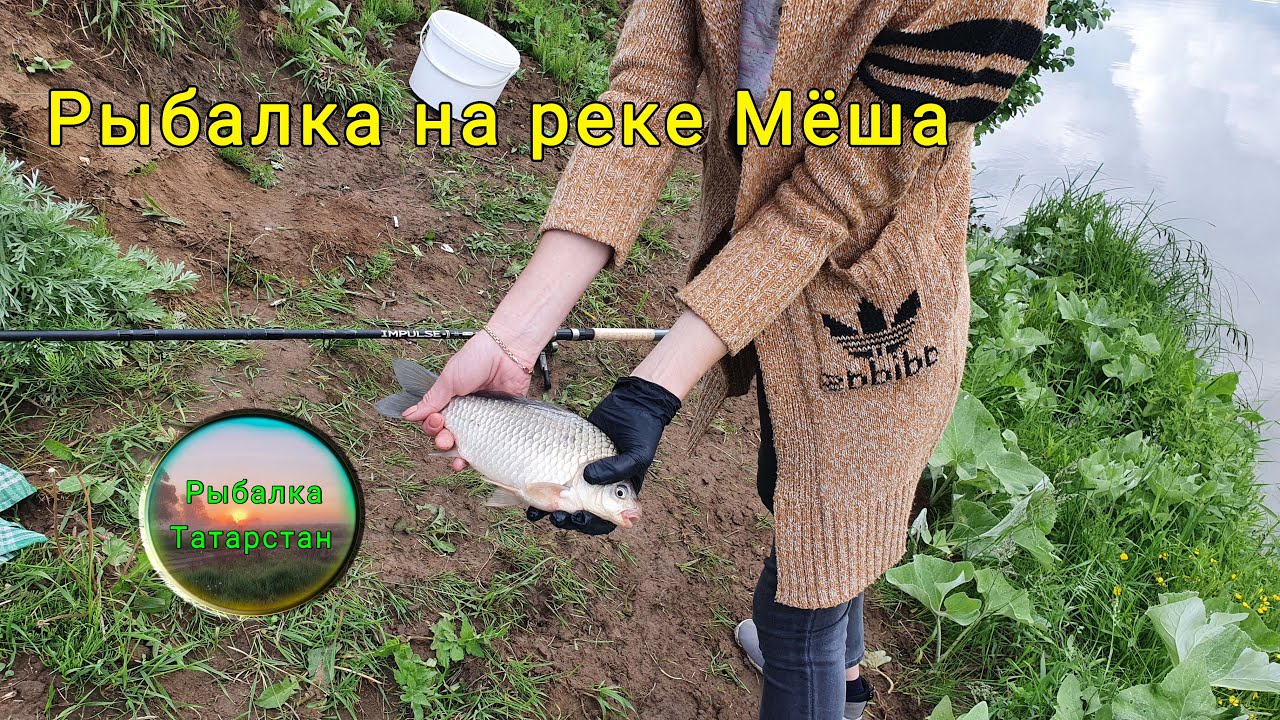 Рыбалка 07 июня 2020 года на реке Мёша Республики Татарстан (Fishing of the Republic of Tatarstan)