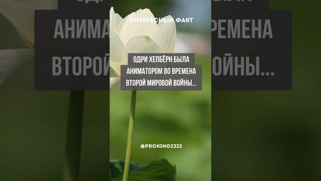 Интересный факт про Одри Хепбёрн #Shorts