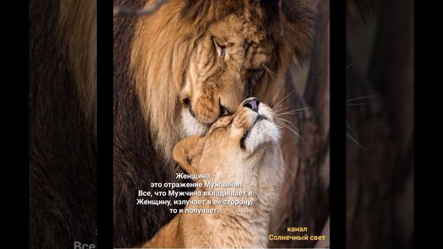 Мужчина растет Благо Даря Женщине