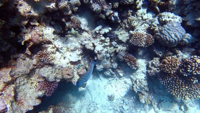 Одним кадром-3 4К