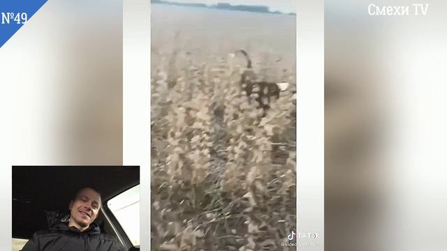 Приколы 2021 года Смехи TV №49
#приколы #ghbrjks #приколы2021 #лучшиеприколы #смехи