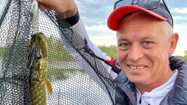 В поисках трофея 22 год