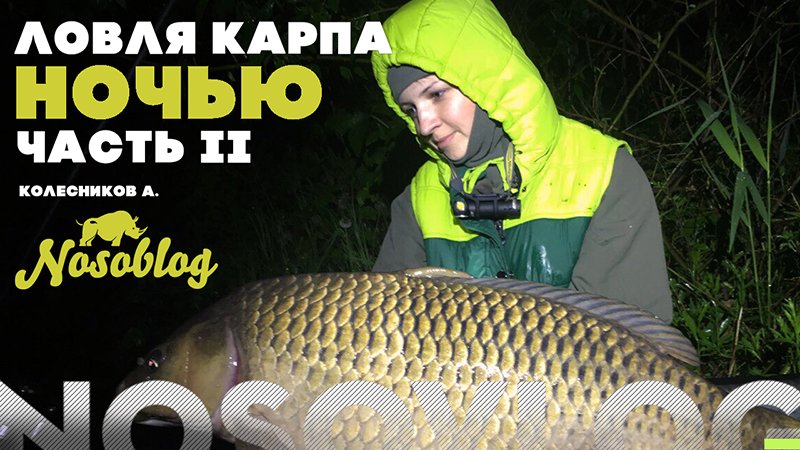Ловля карпа ночью, часть 2, Колесников А.