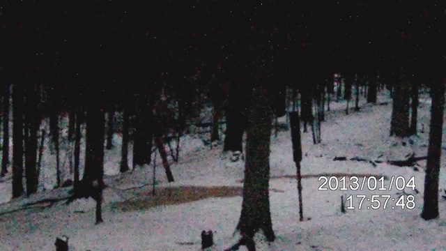 Выстрел по кабанчику.