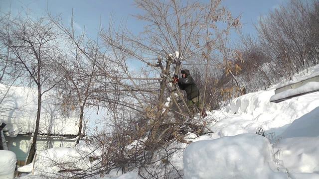 Пчёлки 70. Январь 2020