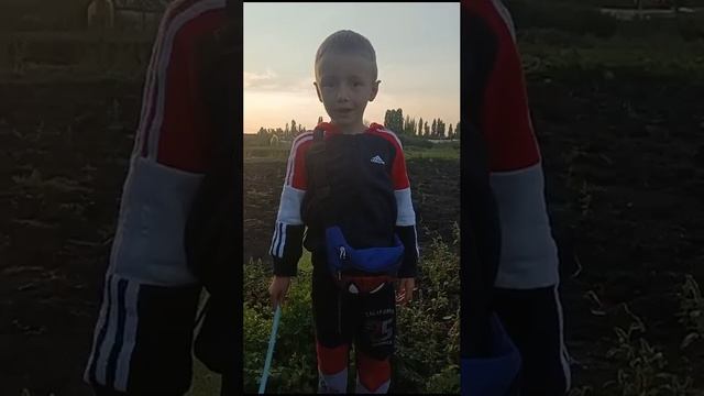 У бабушки на огороде