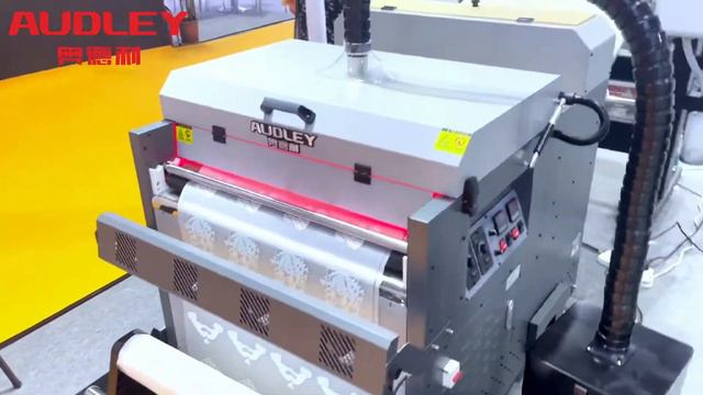 DTF принтер Audley ZX6002 (пример работы)