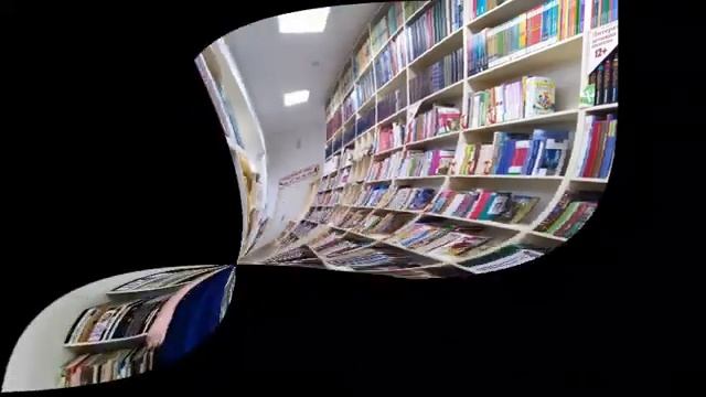 БИС. Новая библиотека.mp4