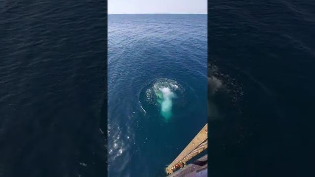 Чёрное море🤤 глубина 2км🤔 #навигация2021 #рекомендации #чёрноеморе