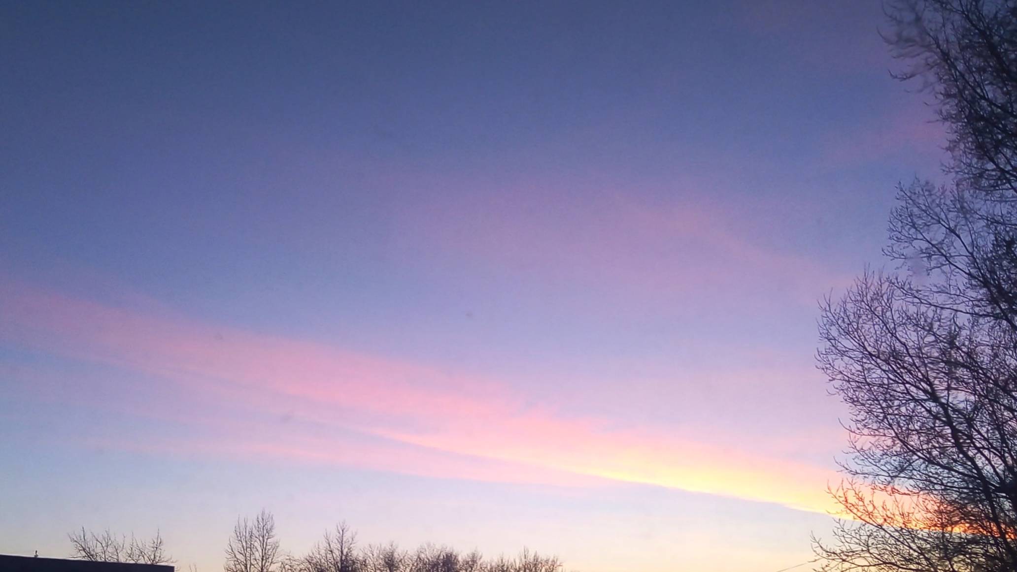 ПЕРО ЖАР-ПТИЦЫ в НЕБЕ. 13. 2. 2019.