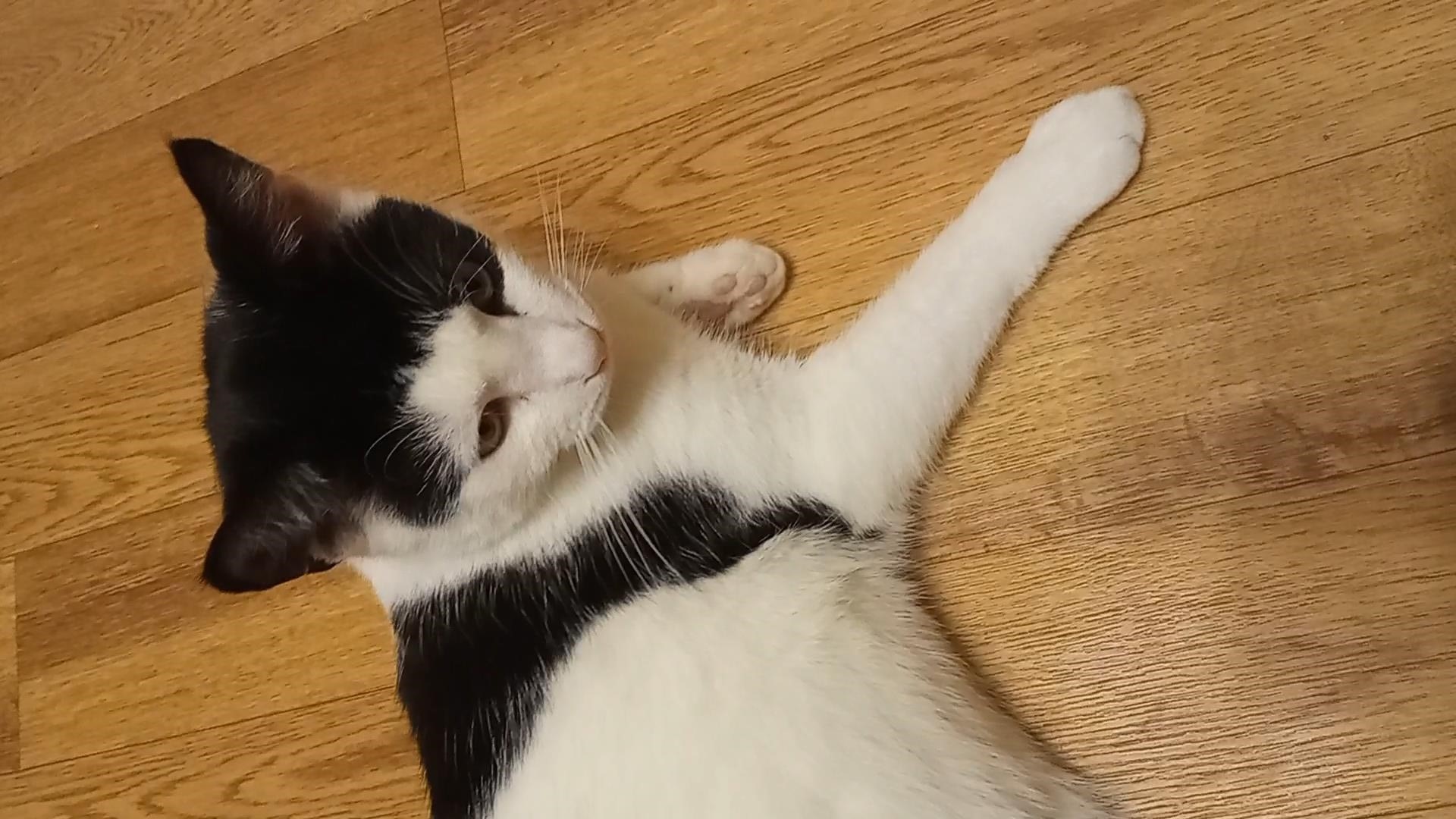 После ужина.