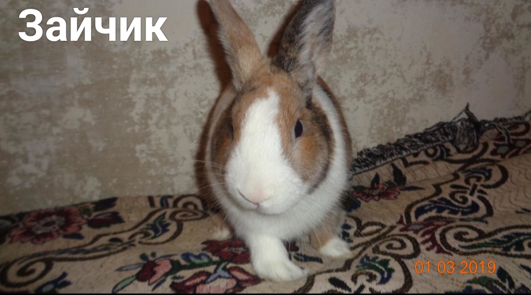 Снопик.