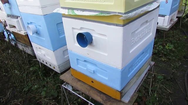 как лучше переводить пасеку с деревянных ульев на ульи ППУ, что покупать сначала
