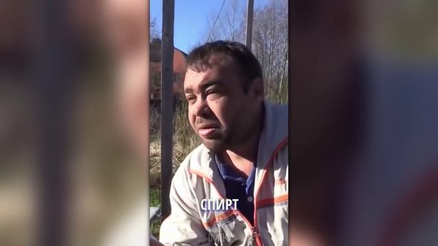 Подборка приколов, ТЫ ПРЕКРАСЕН