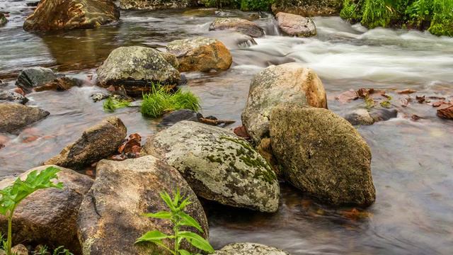Ергаки, июль 2019, часть 2
