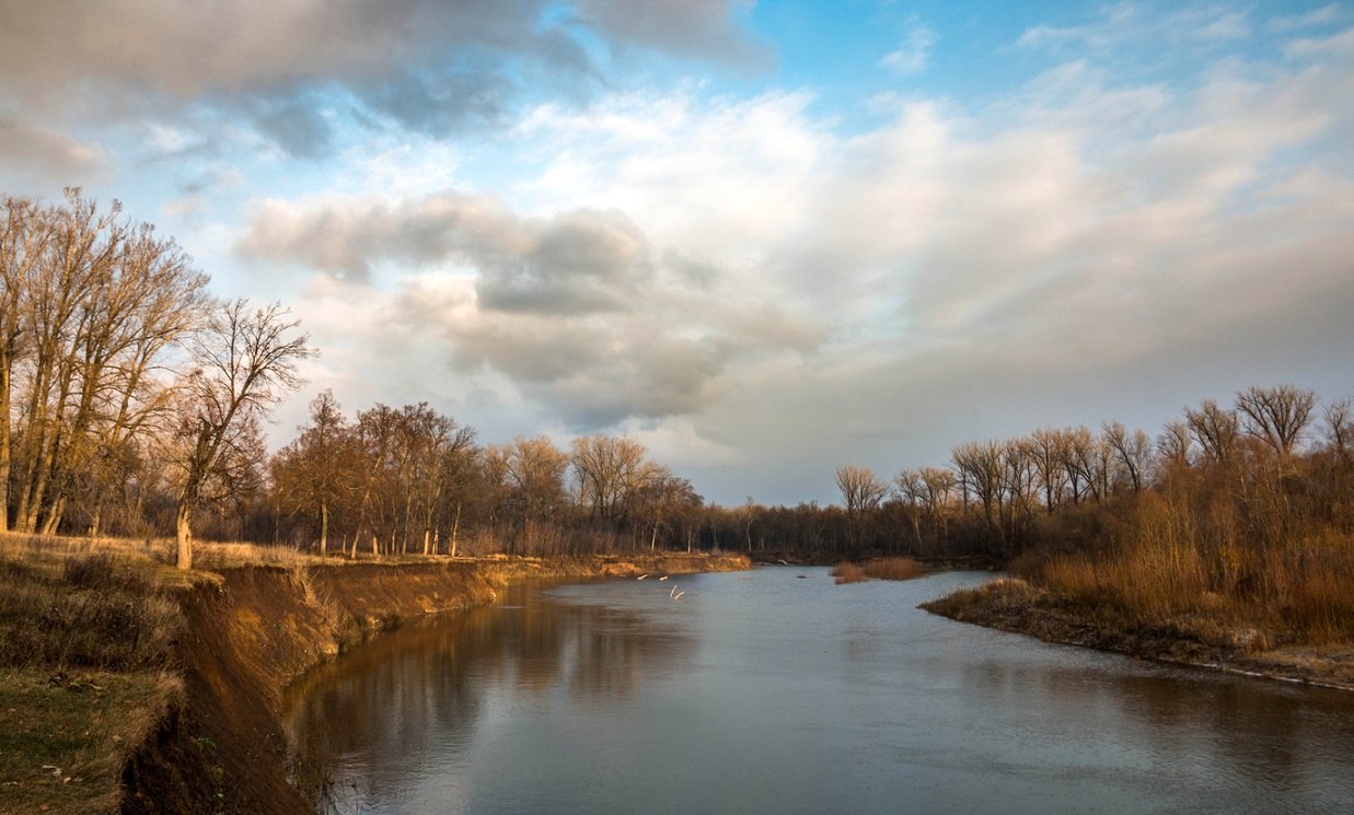 085.К Егорычу за ухой.mp4