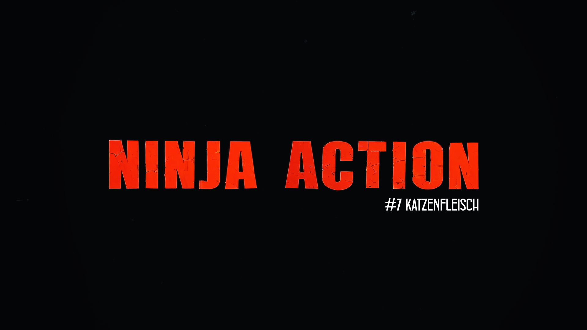 Ниндзя в деле 7: Тушёнка из котиков / Ninja Action 7: Katzenfleisch
