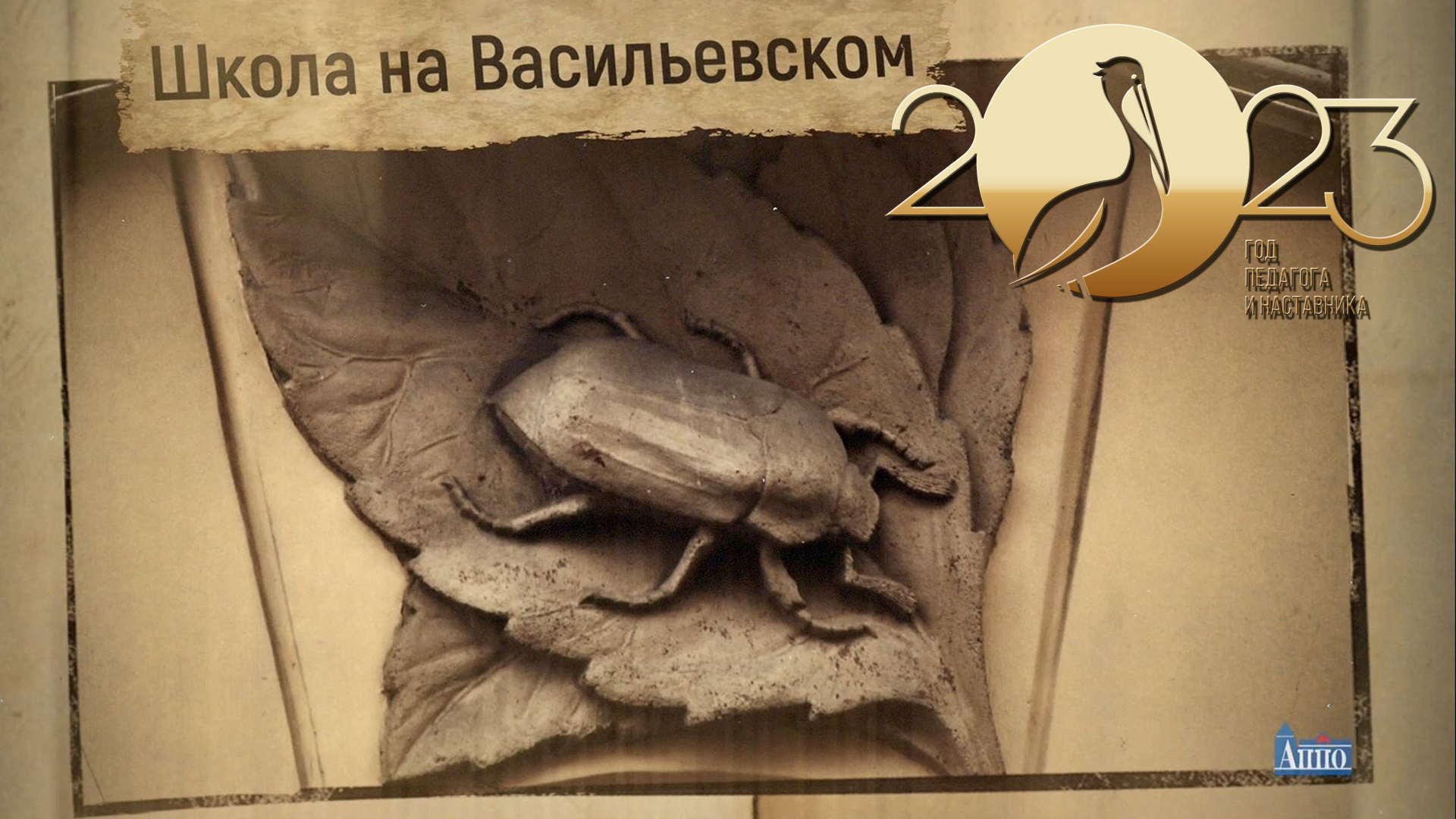 Школа на Васильевском. Ч.1. Появление Музея истории школы Карла Мая. Образовательный проект СПб АППО