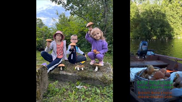 Грибы в огороде растут. Ёж и кот у дома кормятся.