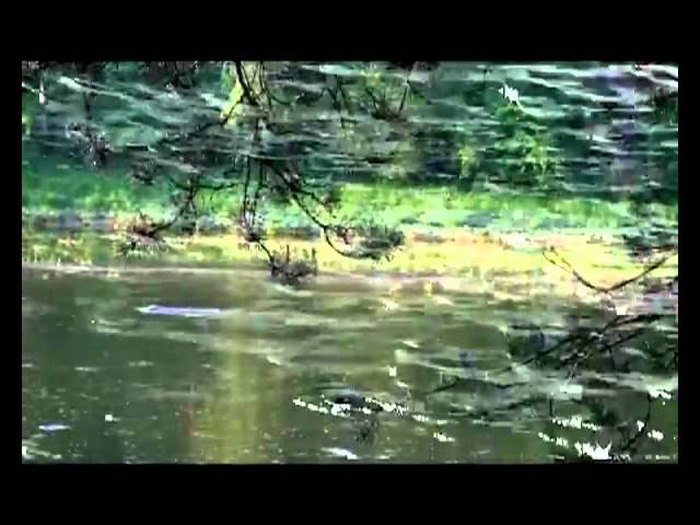 Светлана Смагина. Ночь на Белой реке.flv