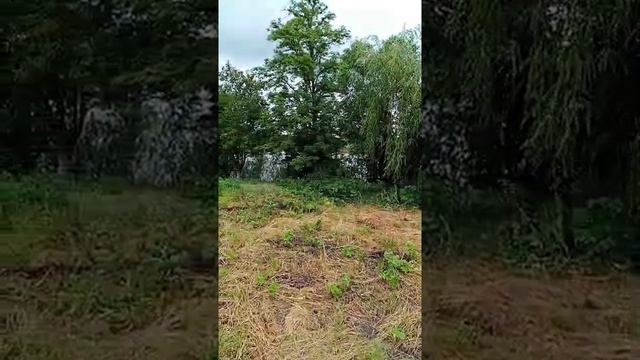 Путь к реке мимо сада и по огороду