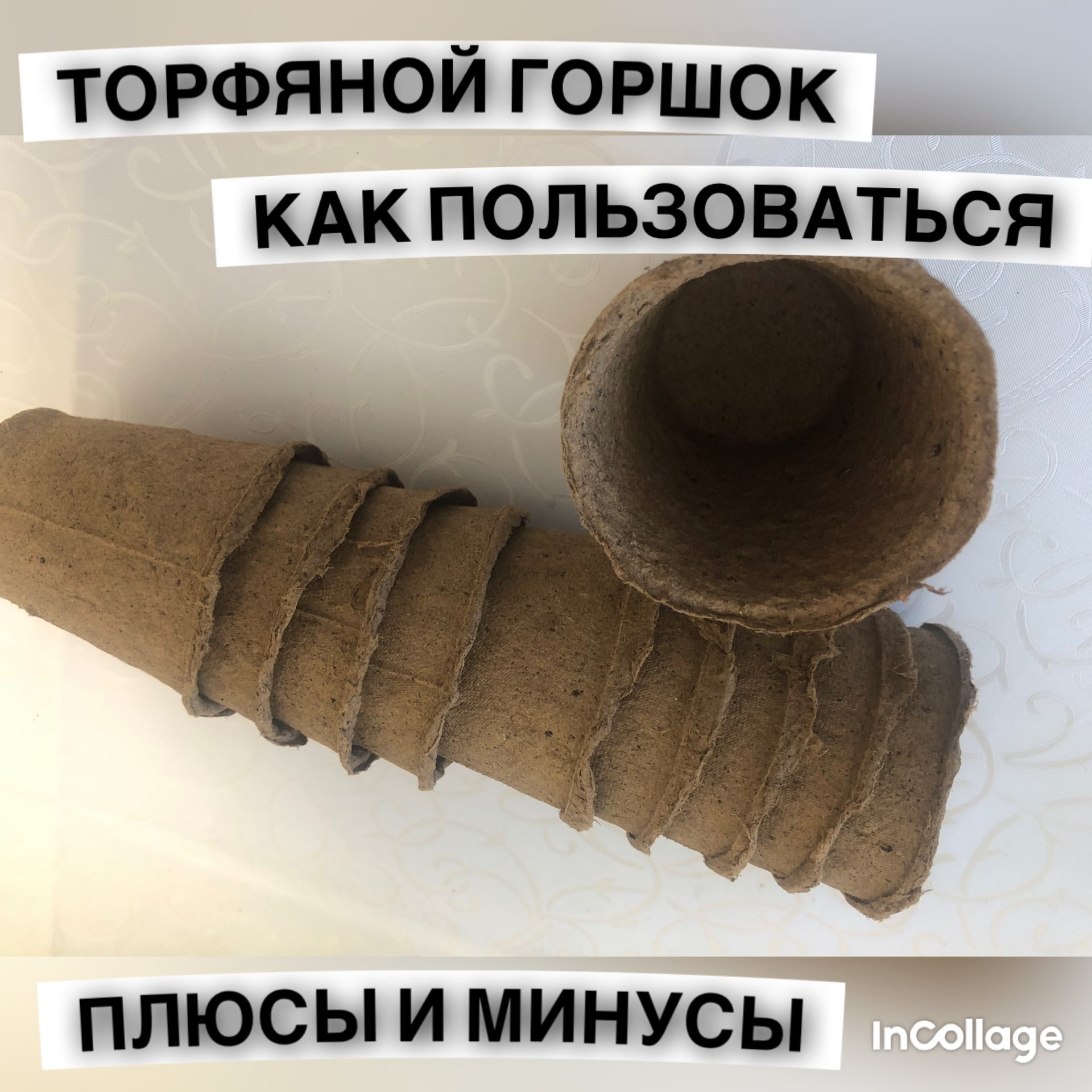 Торфяной горшок для рассады как пользоваться