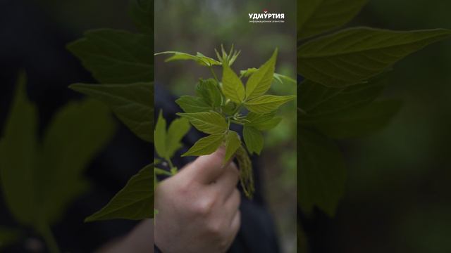 Блогер Анастасия Попкова из Ижевска прочитала стих Михаила Петрова о войне