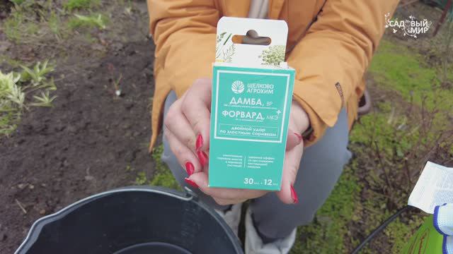 Сплошное избавление от сорняков баковой смесью