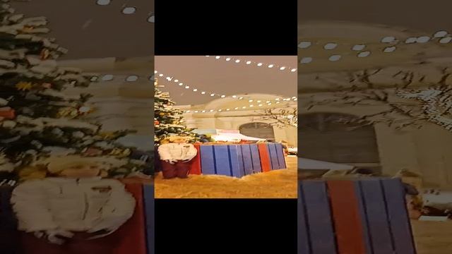 Новый год 2022 Питер , СПБ , 1 день )) )