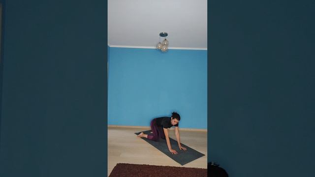 Разминка 12.09.24