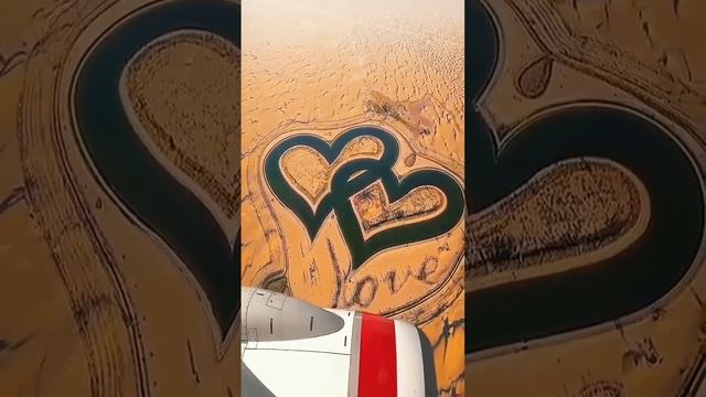 VID_20221223_224645_354.mp4