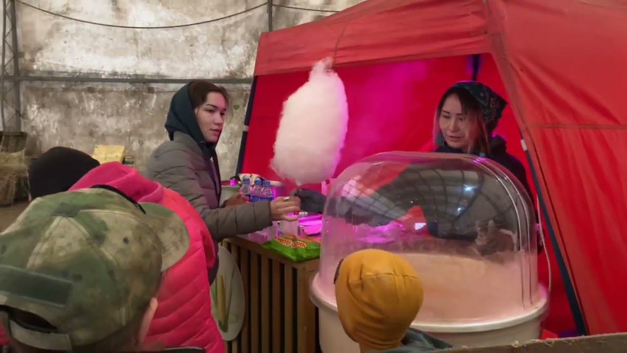 Семейный нетворкинг, 2024