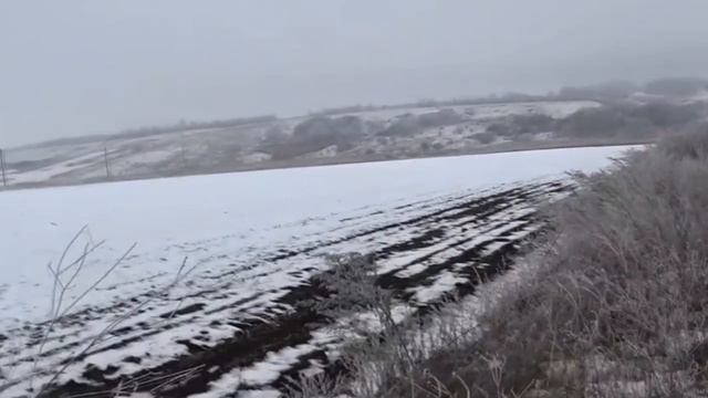 (18+) зайцы  мороз немного стеба (бакс продакшн и гоп компания).mp4