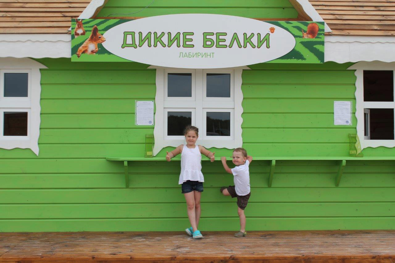 Прогулка по Лабиринту «Дикие белки» сезон 2016 г.
