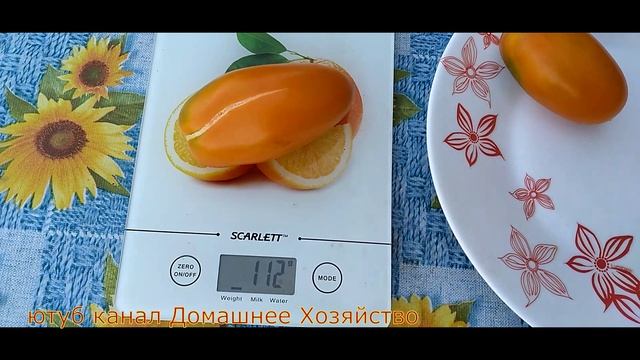 Обзор томата Золотая рыбка