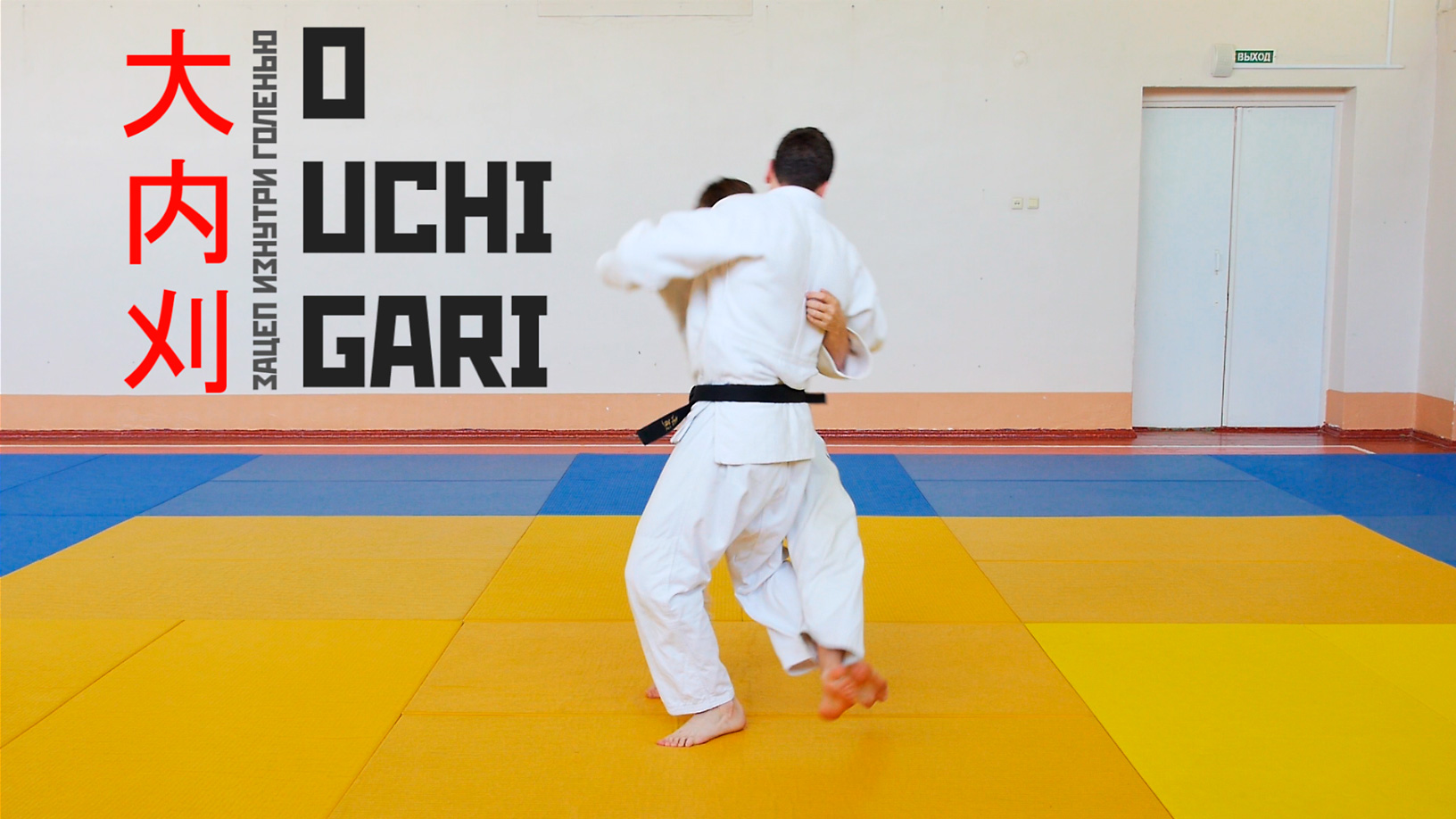 O UCHI GARI / Зацеп изнутри голенью / 大内刈