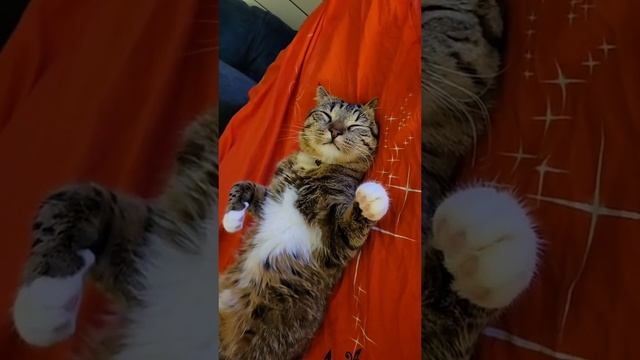 Я просто лежу с закрытыми глазами...