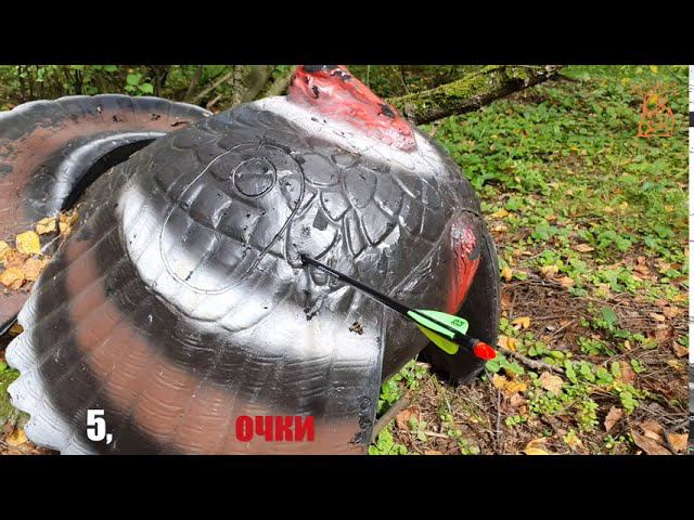 10 мишеней СКМ | Тренировка перед турниром | Стрелы EASTON POWER FIGHT