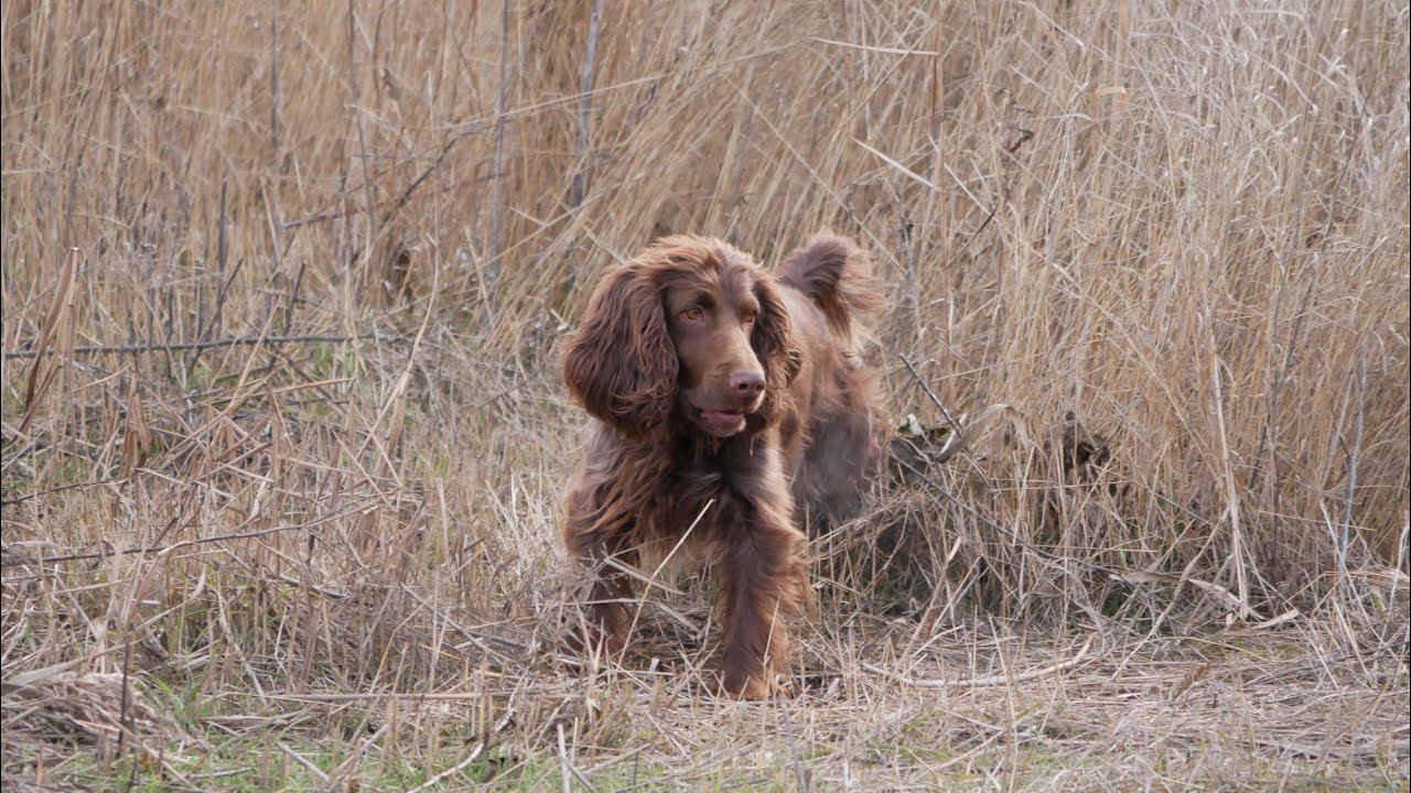 Приморка 6 февраля 2021 года