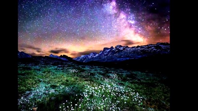 Под окном возбудились петуньи. Владимир Ариничев.