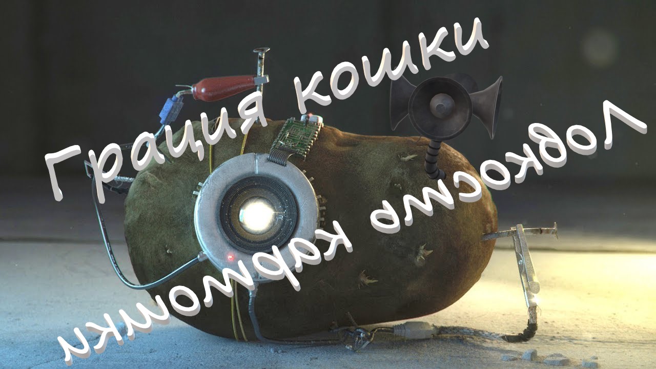 Батя на кухне. Квантовая картошка..avi