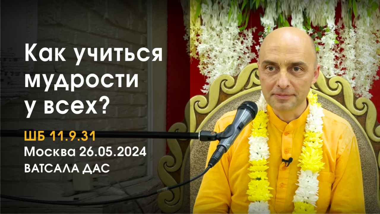 ШБ 11.9.31. Как учиться мудрости у всех_ (Москва, 26.05.2024)