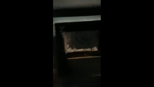 Отзыв покупателя на СТИМУЛ ДГ-1 20