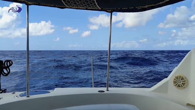 Тенерифе - Майорка 2024, Океанская зыбь